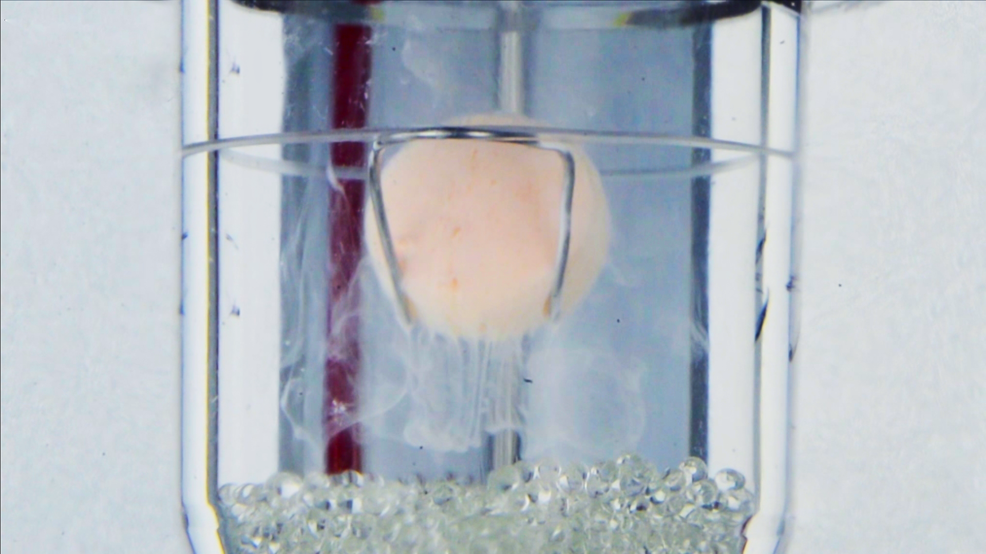 Dissolution Tester Manufacturer | Precision Drug Testing Solutions