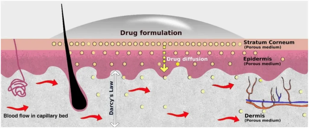 What Factors Reduce Accuracy in Stratum Corneum Diffusion Testing?